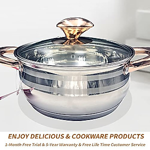 BAERFO 1.5 Quart Stock Pot,5 Ply 18/8 Stainless Steel Cooking Stock Pot with Lid, 1.5 QT Soup Pot, Healthy Stockpots, Casserole, Stew, Induction, Oven,Gas and Dishwasher Safe Pot