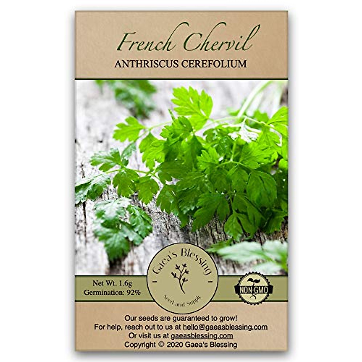 Gaea's Blessing Seeds - Chervil Seeds - Non-GMO Seeds with Easy to Follow Planting Instructions - Open-Pollinated French High Yield Heirloom 92% Germination Rate 1.6g