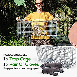 SAFETRAP Large Cage Trap for Live Animals + Bite Proof Gloves - 32" One-Door Humane Live Cage - Heavy Duty Animal Trap - Ideal to Catch & Release Raccoon, Chipmunk, Rabbit, Groundhog, Cat