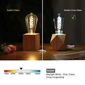 Austin Coast ST19/ST58 Vintage LED Edison Bulb,4.5W Daylight 5000K,Dimmable Flexible Spiral LED Filament Light Bulb with Smoky Grey Glass，4.5W Equivalent to 45W, E26 Base(4.5W-5000K-6 Pack)