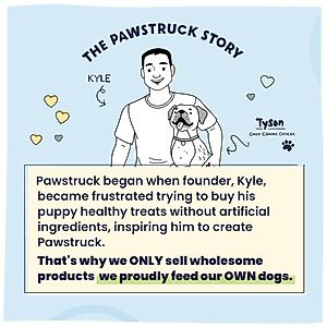 Pawstruck Large 5-6" Filled Dog Bones, Peanut Butter Flavor - Made in USA, Long Lasting Stuffed Femur for Aggressive Chewers, Dental Treat - Pack of 3, Packaging May Vary