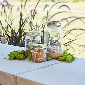 Anchor Hocking AHG17 1/2 Pint Home Canning Jars with Metal Lids and Rings Clear ( Pack Of 12 )