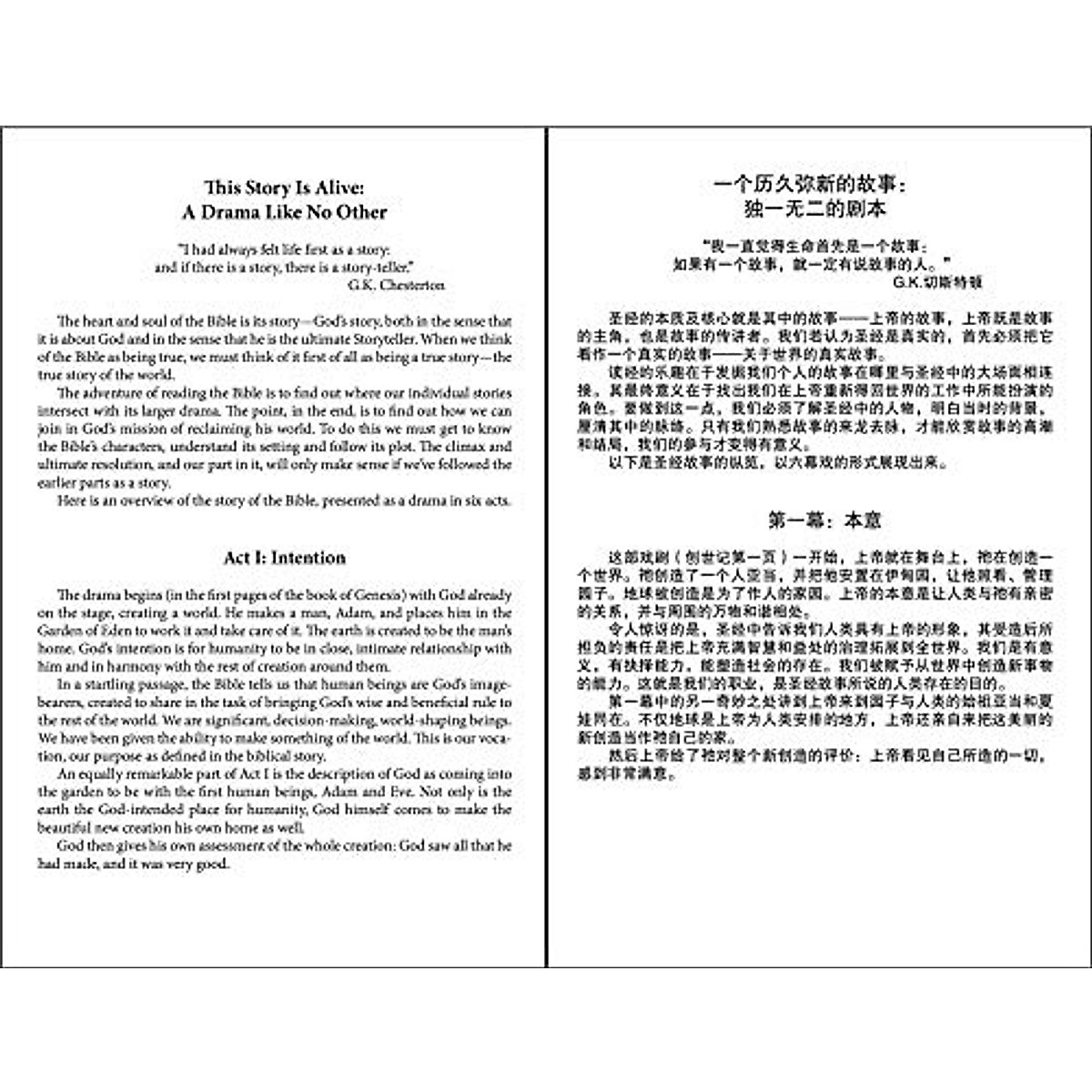 CCB (Simplified Script), NIV, Chinese/English Bilingual Bible, Hardcover, Black/Gold (Chinese Edition)