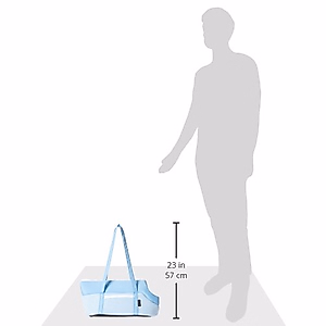 Parisian Pet Malibu Striped Carrier, Blue