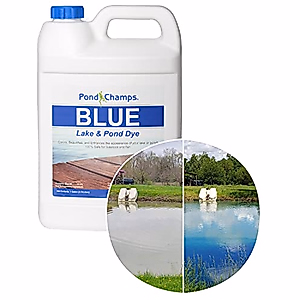 Pond Champs Blue Lake and Pond Dye - One Gallon of Professional Lake & Pond Dye - Treats Up to 1 Acre - Royal Blue Color - Safe for Fish, Wildlife, Pets & Children