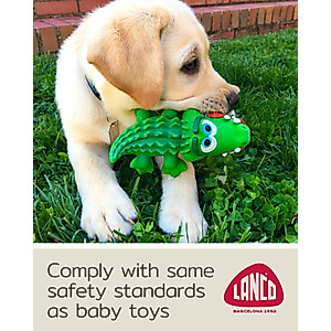 Crocodile Sensory Dog Toy Natural Rubber (Latex), Lead-Free & Chemical-Free, Complies to Same Safety Standards as Children’s Toys, Soft & Squeak