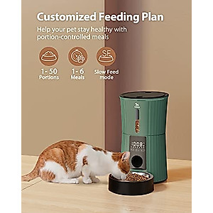 Petory Timed Automatic Cat Feeders - 4L Programable Dry Food Dispenser for Cats and Small Medium Dogs 6 Meals with Desiccant Bag Dual Power Supply 10S Voice Recorder