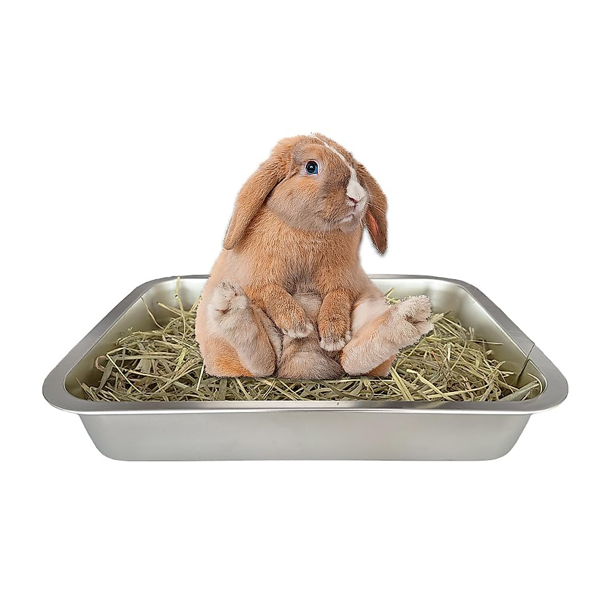 Large Stainless Steel Litter Box for Rabbits, Guinea Pigs, Chinchillas, Ferrets, Small Animals, Non-Stick, Odor Control, Easy Clean, Rust Proof, High Sides, Non-Slip Feet (15.8''L x 11.8''W x 2.8''H)