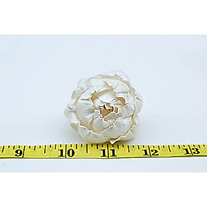 50 Pieces Peony 2 inches diameter Sola Wood Flowers Artificial Flower for decoration wholesale Shop Diffuser Handmade Spa Wedding Craft