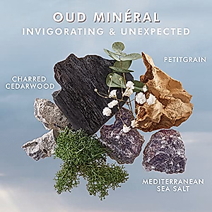 Moroccanoil Shower Gel, Oud Mineral, 8.5 Fl. Oz.