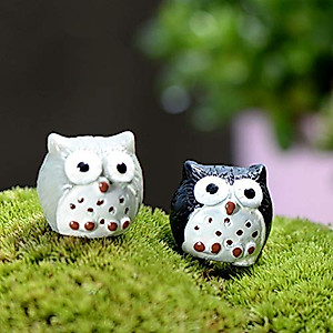 5 Pcs Miniature Garden Ornament Resin Owls Figure Animal Toys Fairy Garden Office Decor Fish Tank Aquarium Bonsai Dollhouse Decorations