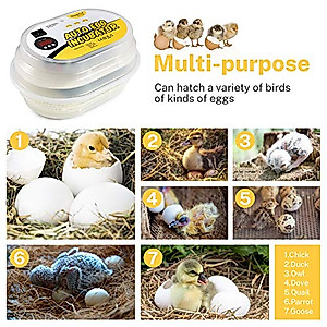 Magicfly Mini Egg Incubators for Hatching Eggs, with Automatic Egg Turning, 9-12 Eggs Hatching Incubator for Chickens, Ducks, Goose, Birds