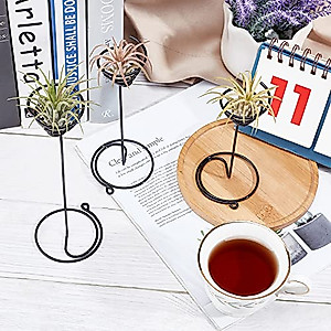 AHANDMAKER 6 Packs Airplant Planter Holder, 3 Sizes Air Plant Container Tillandsia Holder for Displaying Small Air Plant, Home Office Desktop Decoration