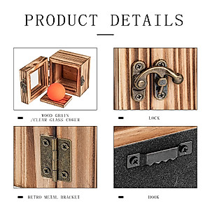 Freezing point Golf Ball Display Case Hole in One Golf Ball Small Wood Shadow Box Wall Rack Holder Golf Gifts for Kids Womens Mens