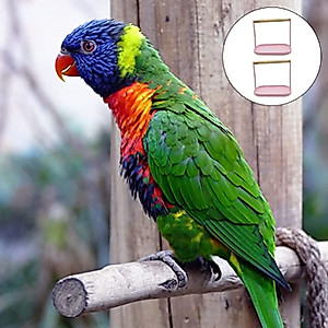 POPETPOP Rabbit Toys Rabbit Toys Teething Toys Bird Stand Desk Perch : 2Pcs Parrot Stand Bird Playground Wood Bird Plaything Bird Balance Train Tool Rabbit Toys Teething Toys Bunny Toys