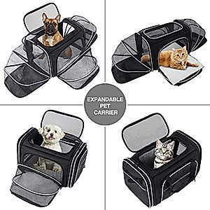 MASKEYON TSA Airline Approved Large Pet Travel Carrier,4 Sides Expandable with 2 Mesh Pockets,3 Entry,Washable Pads,Shoulder Strap,Soft Sided Collapsible Dog Carrier for 2 Cats,Kittens,Puppies,Dog