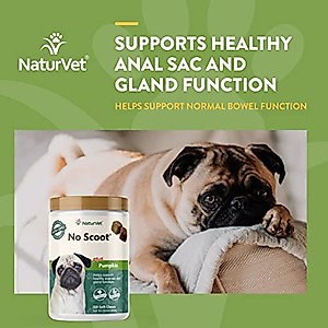 NaturVet - No Scoot for Dogs - 120 Soft Chews - Plus Pumpkin - Supports Healthy Anal Gland & Bowel Function - Enhanced with Beet Pulp & Psyllium Husk