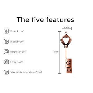 GARRULAX USB Flash Drive, 8GB / 16GB / 32GB / 64GB USB 2.0 Metal USB Memory Stick Date Storage Pendrive Thumb Drives (16GB, Heart Key)