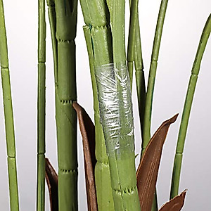 YARDWE Grafting Tape| 30mm Wide Clear Stretchable Nursery Grafting Films for Floristry Plants Repair, Bio- degradable Moisture Barrier Grafting Tools for Garden Trees Fruit Vegetable Flower