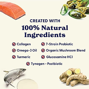 Origin Labs Senior Dog Multifunction Support Omega 3 Supplement, Gut Health Probiotics, Heart, Skin, Liver & Joint Health, Immune Support, Glucosamine Chondroitin, Beef Liver Flavor, 90 Soft Chews