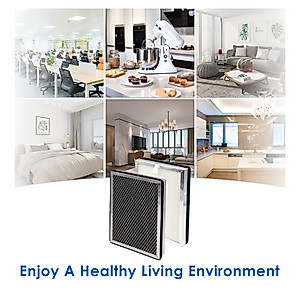 Flintar True HEPA Replacement Filter, Compatible with MA Air Purifier 25 Series, 3-in-1 Pre-filter, H13 True HEPA and Activated Carbon Filter Set, 2-Filters