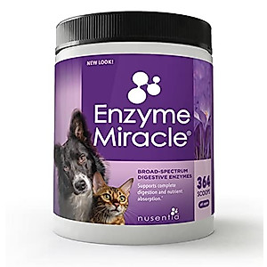 Enzymes for Dogs & Cats - Enzyme Miracle - Systemic & Digestive Enzyme Formula - Powder - 364 Servings - Vegetarian