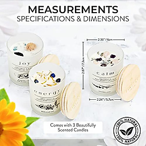 Firefli Crystal Candles 3-Piece Crystal Candle Set with Wood Lids & Dried Flowers | Candles Gifts for Women | 3.5oz Manifestation Candles with Crystals Inside | Soy Wax Scented Luxury Candles