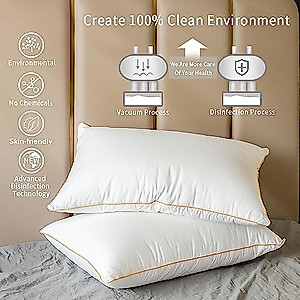 NEIPOTA Pillows Standard Size Set of 2, Hotel Collection Side Sleeper Pillow 20" x 26", Firm Standard Pillows for Sleeping 2 Pack, Cooling and Fluffy Down Alternative Fiber Bed Pillows & Positioners