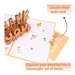 Sharonlily Thank You Pop Up Card, 3D Popup Thank You Gift Cards, Teacher Appreciation Card Thanks Giving Card for Parents, Friends, Colleague, Doctor