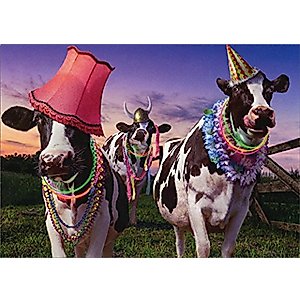 Party Cows Avanti Funny/Humorous Birthday Card