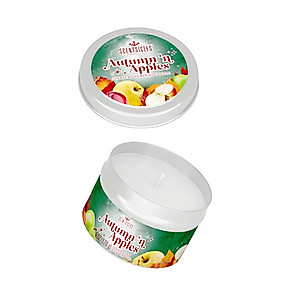 Scentsicles, Autumn n Apples,6 Oz Soy Blend Candle, 25 Hour Burn Time