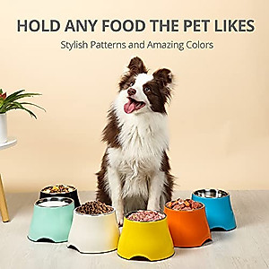 yoken Elevated Dog Bowls, [Prevention of Vertebrae Disease] [Super Non-Slip] Dog Bowl with Stainless Steel Bowl, High Capacity Dog Food Bowls, Colorful Raised Dog Bowls for Medium/Small Size Dogs