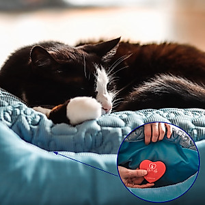 Pet Fit For Life Rechargeable Heart Beat Simulator with USB Cord - Reduce Pet Anxiety with This Heartbeat Sound Machine - Your Cat, Kitten, Dog, or Puppy Will Love It