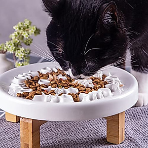 Fatcatjoy Cat Slow Feeder Bowl Ceramic Elevated Plate Cat Puzzle Feeder Improve Vomiting Dog Food Bowls Slow Feeder Easy to Clean(with Brush)