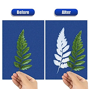 Sun Print Paper Kit Cyanotype Paper, 24 Sheets Cyanotype Papers with 1 Sheet Acrylic Panel, High Sensitive Nature Sun/Solar Activated Sun Printing Art Paper for Arts Crafts DIY Project