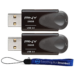 Generic PNY 256GB USB 3.0 Flash Drive Turbo Attaché 4 (Bulk 2 Pack) Works with Computer (P-FD256TBAT4A-GE) Bundle with (1) Everything But Stromboli Lanyard