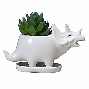 KiaoTime Dinosaur Shape White Ceramic Succulent Planters Pots Little Planter Flower Bonsai Dino Pots Vase Container Cactus Desktop Animal Decoration Pencil Holder Nursery Pots