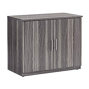 Mayline MSCLGS Medina 2-Door Storage Cabinet, 36"W, Gray Steel Laminate