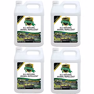 Natural Armor Animal & Rodent Repellent Spray. Repels Skunks, Raccoons, Rats, Mice, Deer Rodents & Critters. Repeller & Deterrent in Powerful Peppermint Formula – 128 Fl Oz Gallon Refill Case of 4