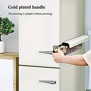 EastVita Wall Mounted Storage Box Punch-Free Multi-Functional Underwear Socks Seasoning Hanging Drawer Organizer with Adjustable Compartments for Closet Kitchen Home Office Green