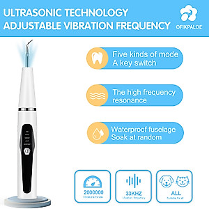 ofikpaloe Dog Teeth Cleaning Kit, Electric Dog Tartar Remover for Teeth, Pet Ultrasonic Dental Cleaning Machine, Easy Dog Dental Care, Suitable for Large and Small Dogs. (Black)