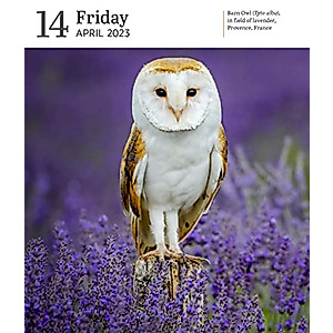 Audubon Birds Page-A-Day Gallery Calendar 2023: Hundreds of Birds, Expertly Captured by Top Nature Photographers