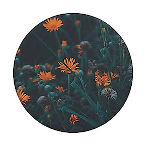 Nature Vintage Orange Flowers PopSockets Swappable PopGrip
