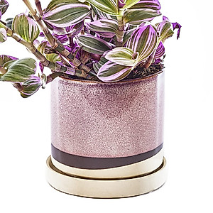 CHIVE ‘Minute’ Ceramic Planter Pot — Cute 5” Colorful Succulent Pots for Indoor & Outdoor House Plants — Beautiful Modern Farmhouse Kitchen Decor — Burgundy