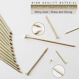 6 Sizes Gold Hardware Nails Assortment Kit, 358pcs, Brass Plated, Nails for Hanging Pictures, Finishing Nails, Wood Nails, Wall Nails for Hanging (3”, 2”, 1-1/2”, 1-1/4", 1”, 3/4")