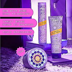 amika bust your brass cool blonde repair conditioner, 60ml