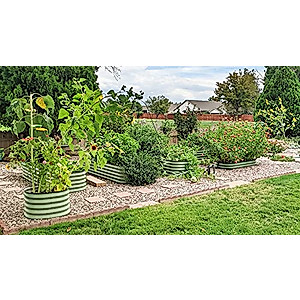 VEGEGA. 17 Inch Tall 9 in 1 Raised Garden Bed Kit, Large Zinc-Aluminum-Magnesium Stainless Steel Metal Planter Box, for Planting Outdoor Plants Vegetables (Green 1)