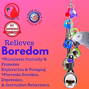 Bonka Bird Toys 1969 Spoon Delight Bird Toy African Grey Parrot, Amazon, Conure, Quaker, Caique, Eclectus, Small Cockatoos, Mini Macaws, and Similar Birds.