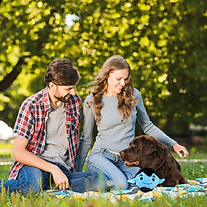 Flourish Pets 2 in 1 Halloween Multi-Layer Chew Toy for Active Dogs | Non-Toxic BPA Free Double Stitched Soft Fabric Exterior Dog Toys | Long-Lasting Dog Plush Toys– Dracula 3.5"