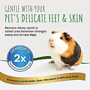 Small Pet Select Premium Natural Aspen Bedding, Animal Bedding for Small Indoor and Outdoor Pets, Made in The USA, Jumbo Size 141 L Pack